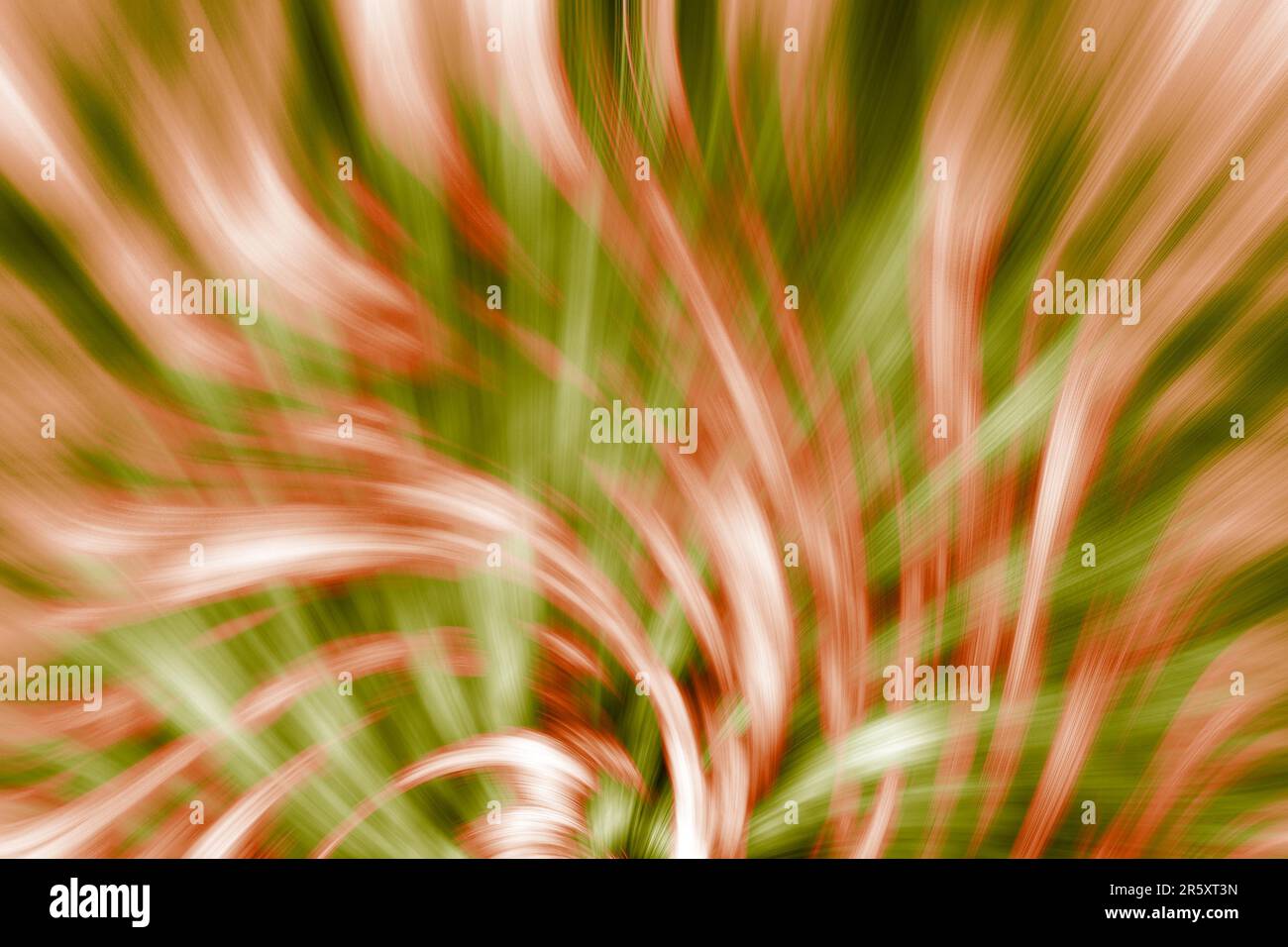 Abstract red and green swirly pattern background illustration Stock ...