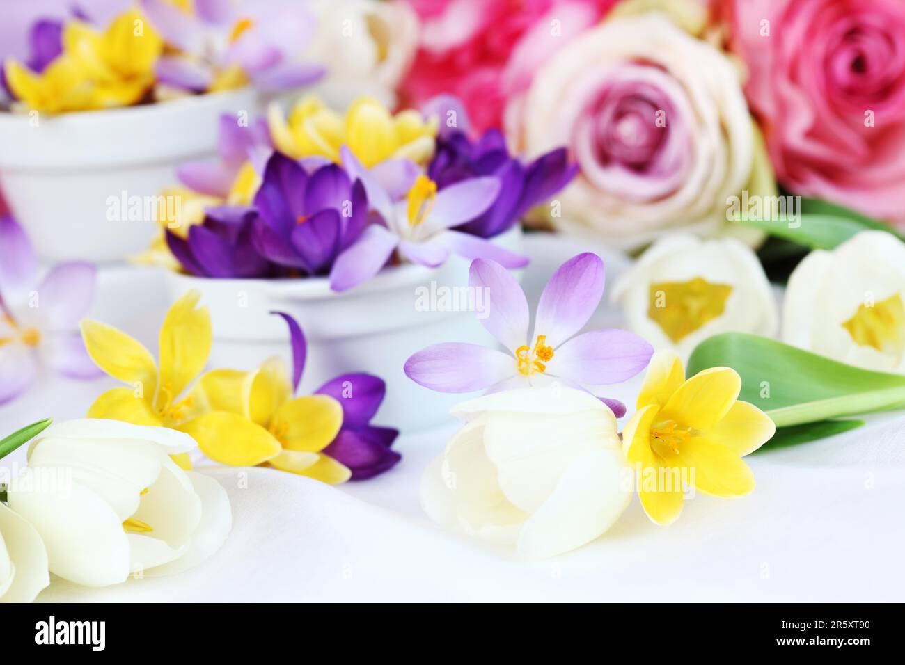 Easter motive hi-res stock photography and images - Alamy