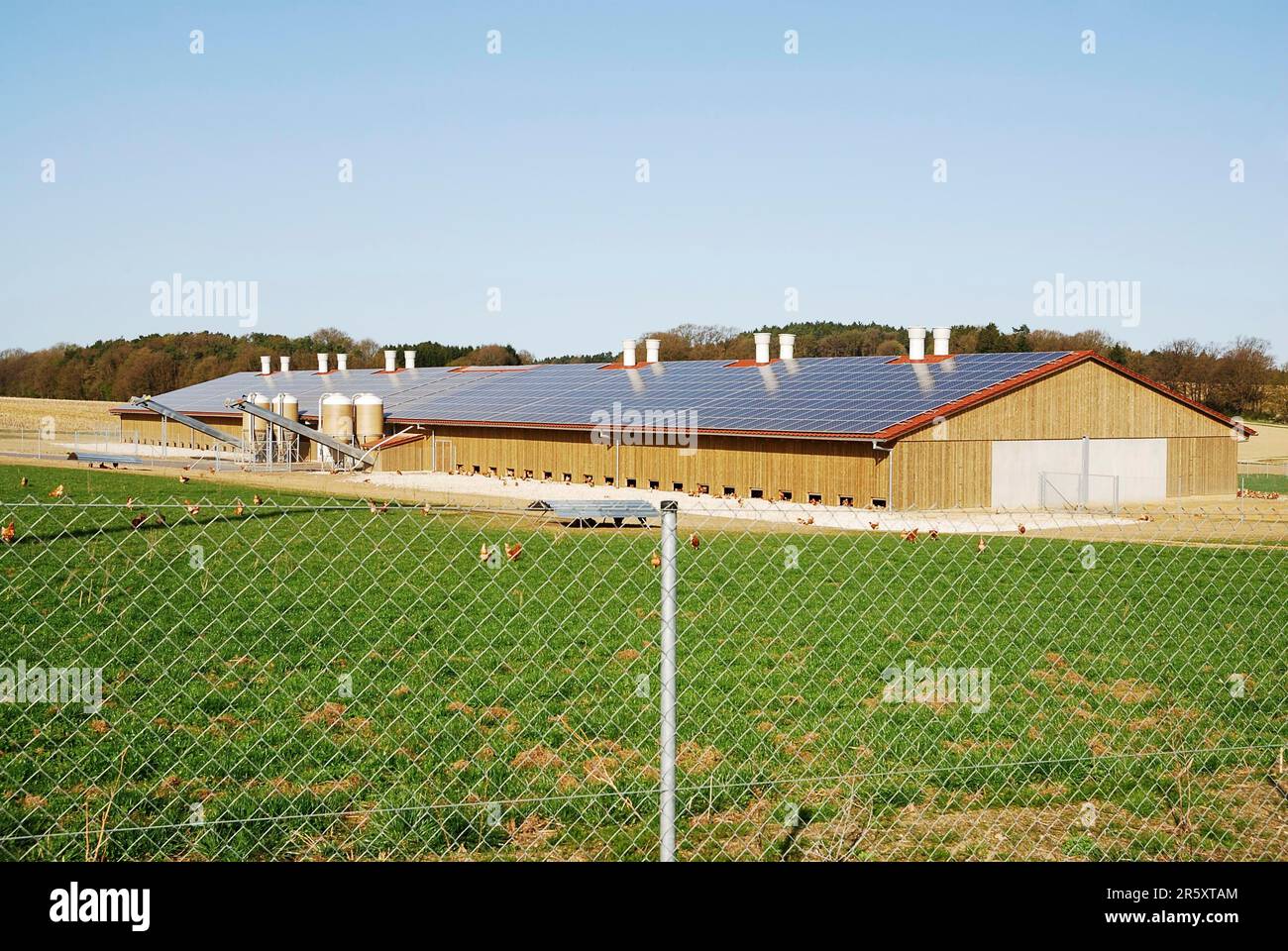 Free range chicken farm with photovoltaic on the roof Stock Photo - Alamy