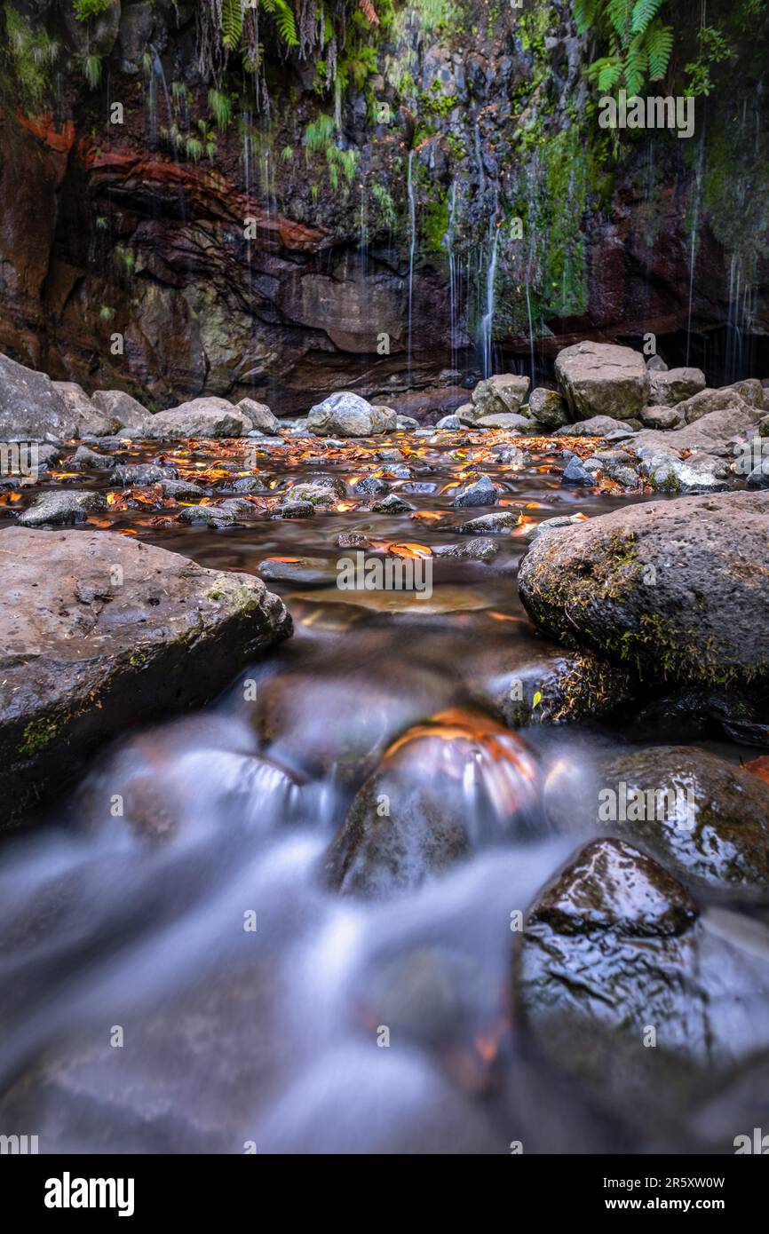 25 fonts, water flows from springs over ferns into a turquoise blue ...