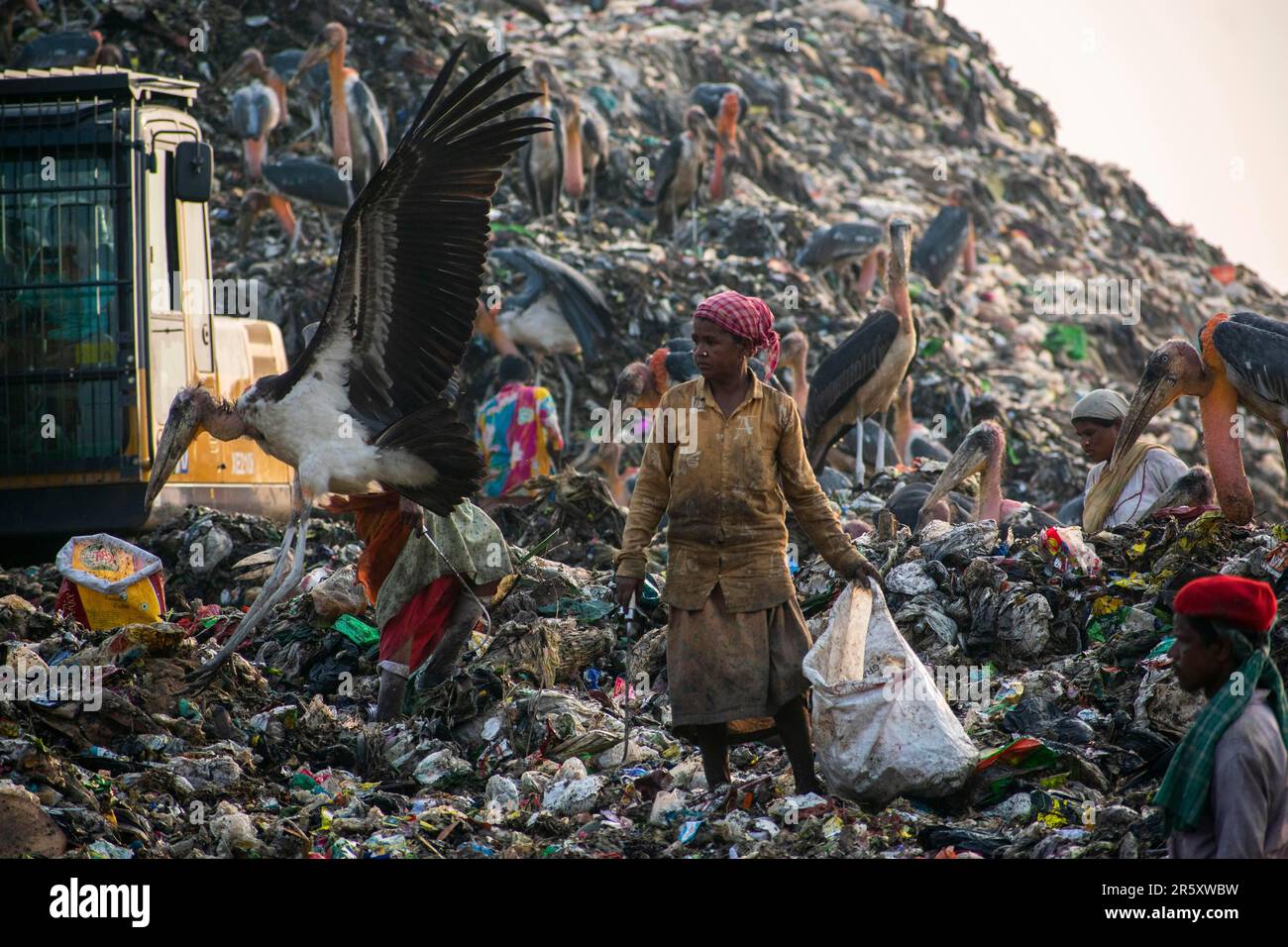 Indian garbage collectors hi-res stock photography and images - Alamy