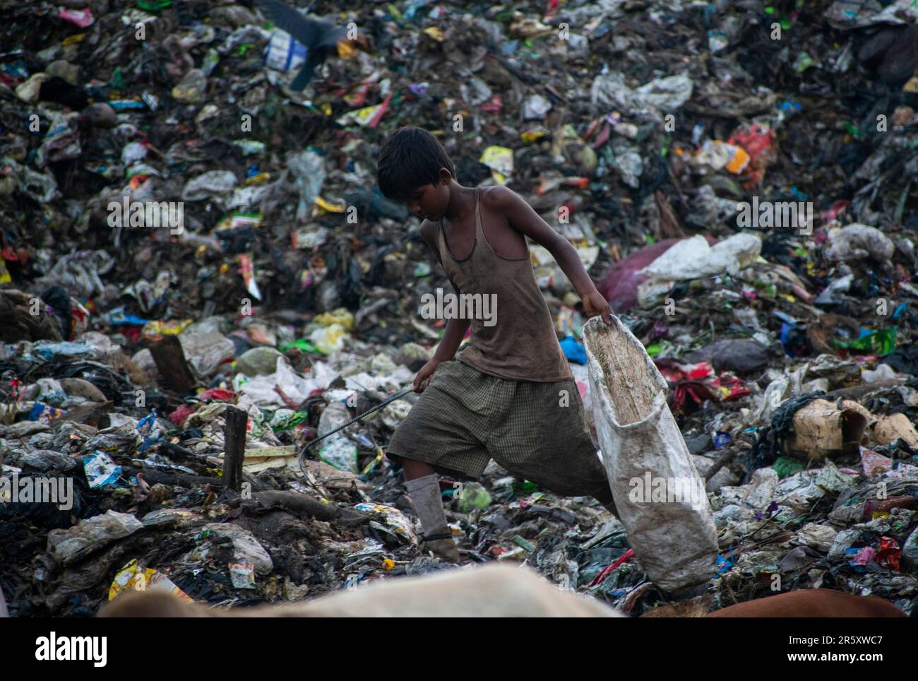 GUWAHATI, INDIA, JUNE 4: A child ragpicker collect reusable items at ...
