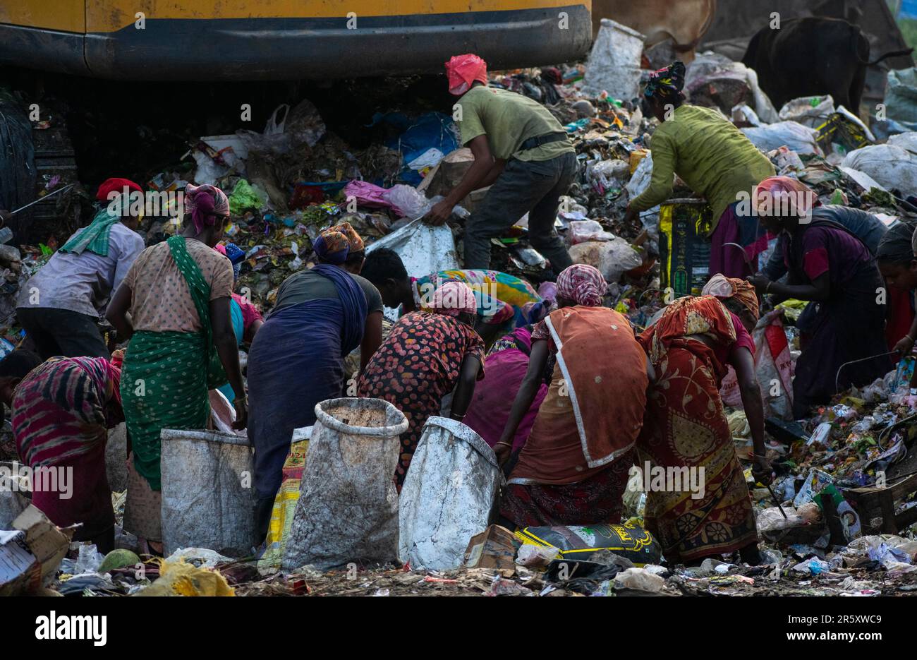GUWAHATI, INDIA, JUNE 4: Ragpickers collect reusable items at the ...