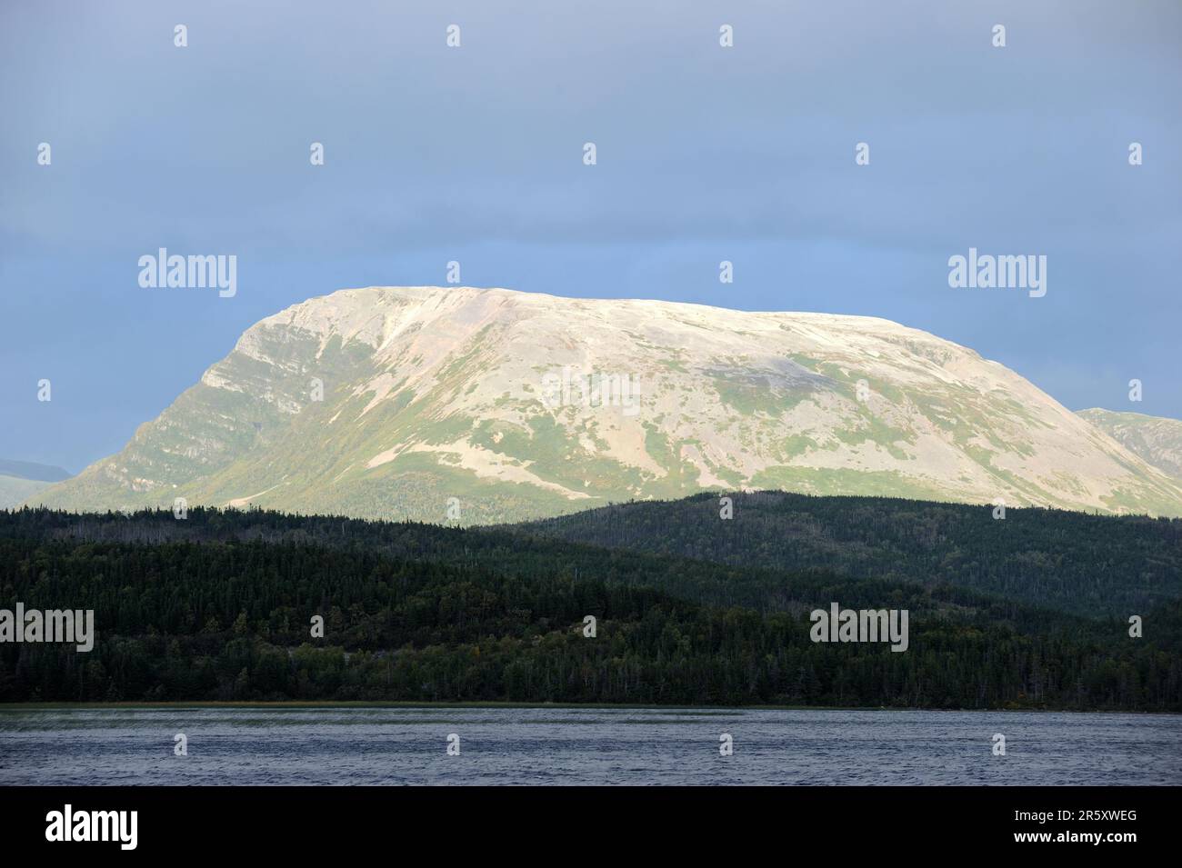 Newfoundland national park hi-res stock photography and images - Alamy