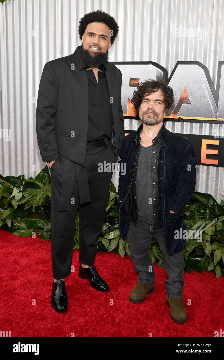 Diane Dinklage