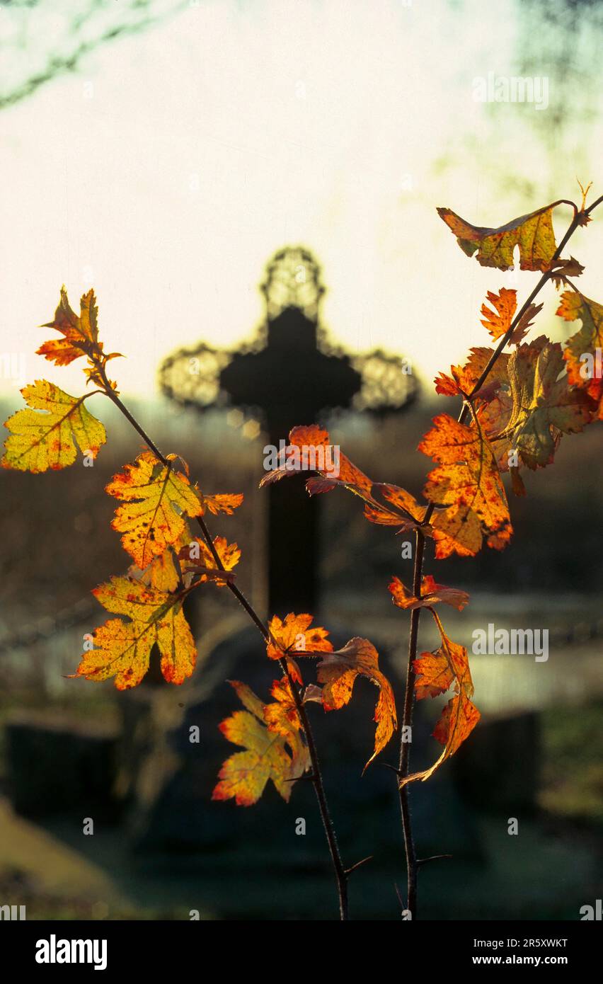 Grave cross with autumn leaves Stock Photo - Alamy