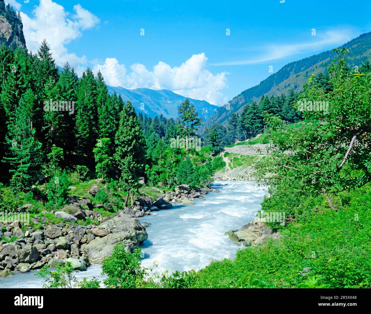 Sind River, Kashmir Valley, Kashmir, Kashmir, India Stock Photo - Alamy