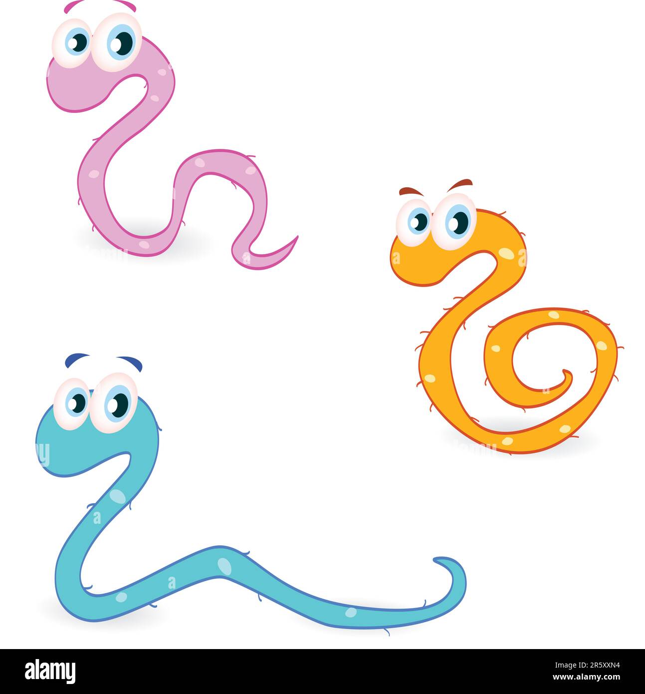 Worms head Cut Out Stock Images & Pictures - Alamy