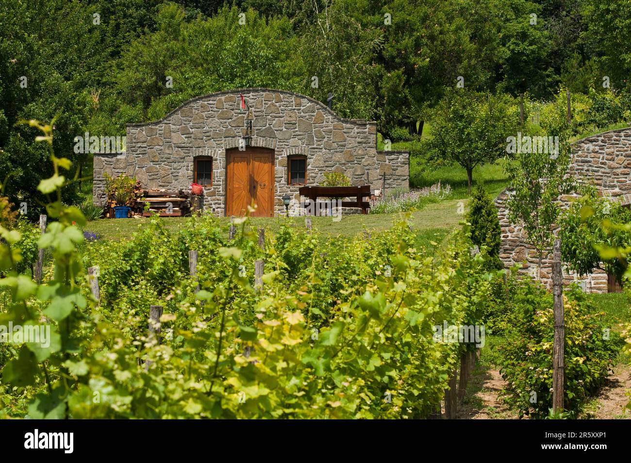 Earth cellar hi-res stock photography and images - Alamy