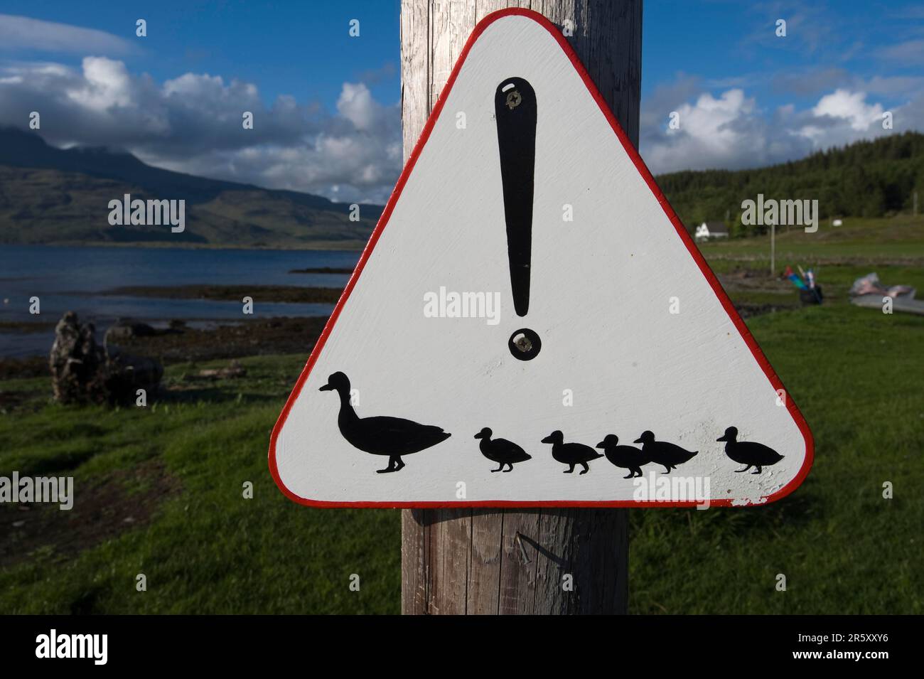 Warning sign 'Duck family crossing the path', Scotland, Great Britain ...