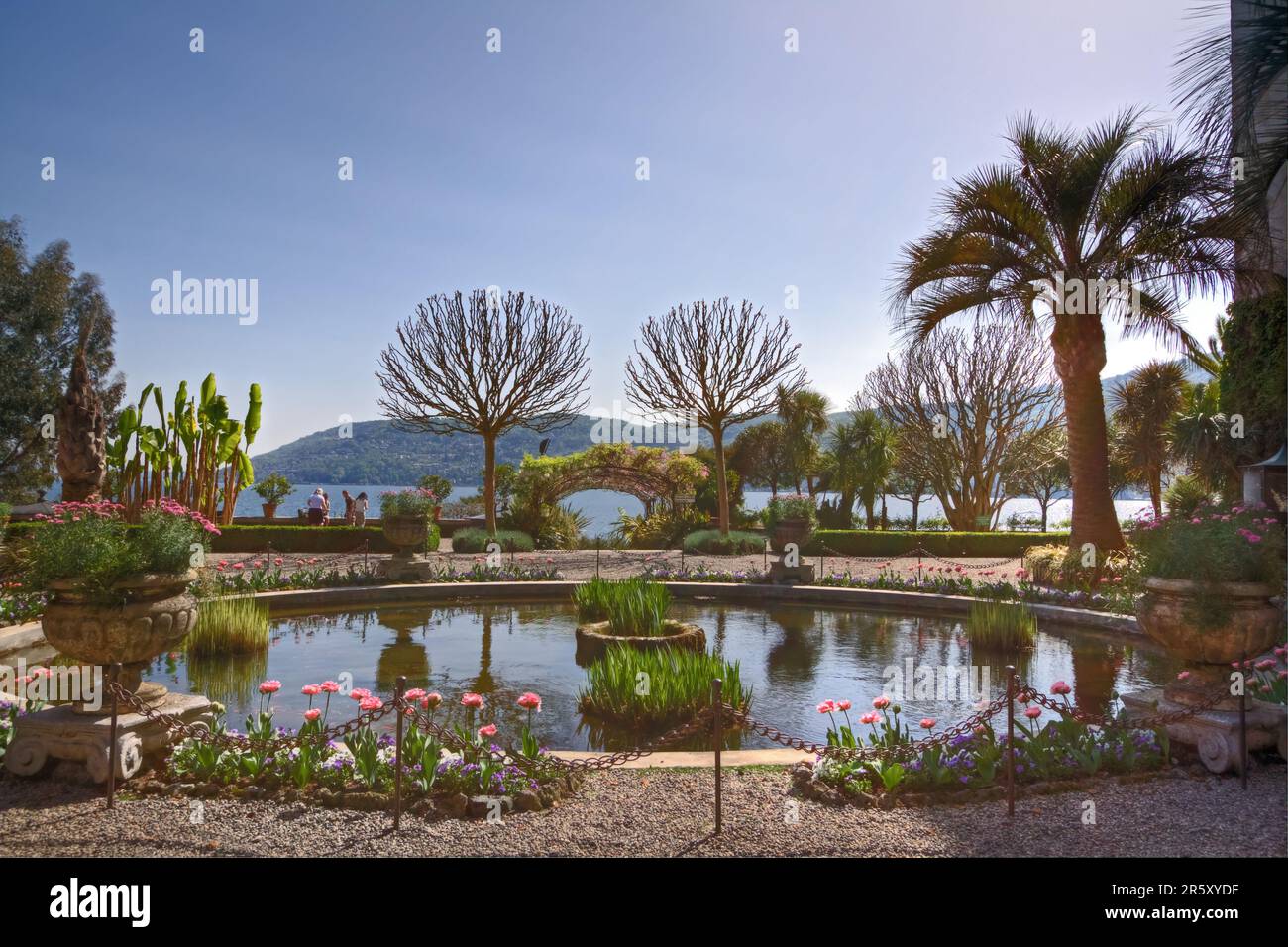Pond, park, Isola Madre, Borromean Islands, Piedmont, Italy Stock Photo ...