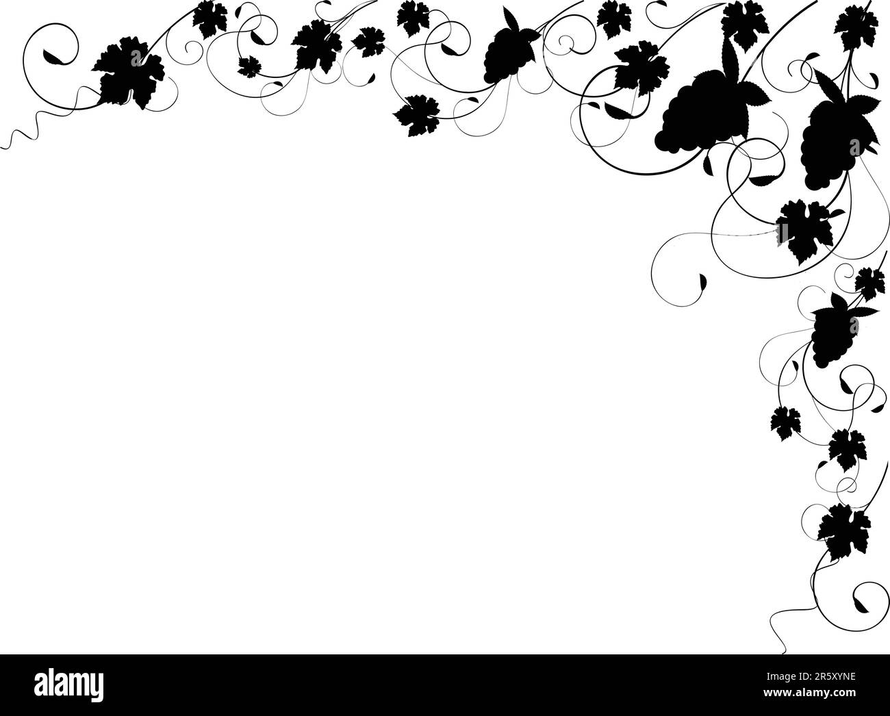 Vine leaves color Black and White Stock Photos & Images - Alamy