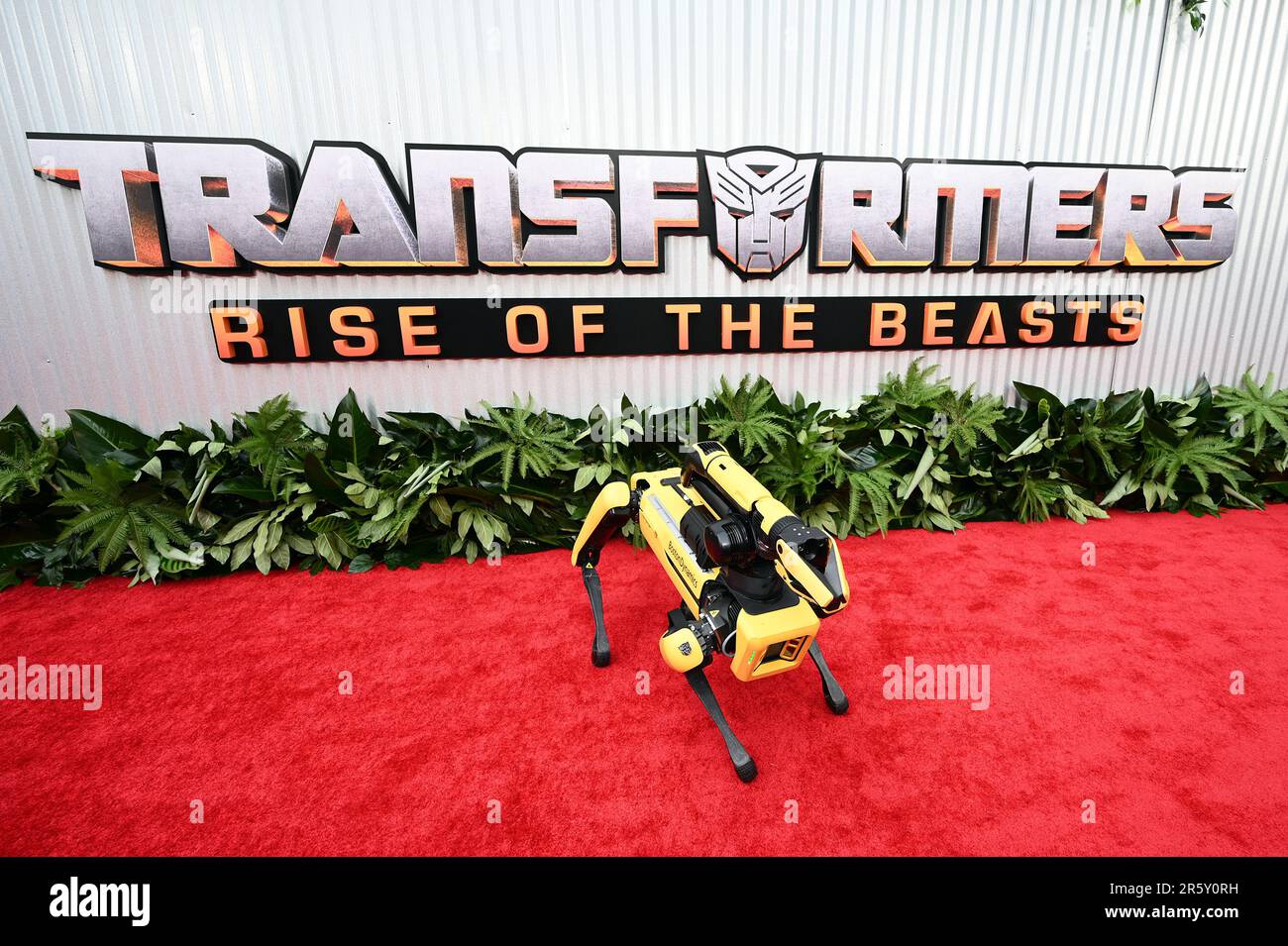 New York, USA. 05th June, 2023. Boston Dynamics' "Spot" attend attends ...