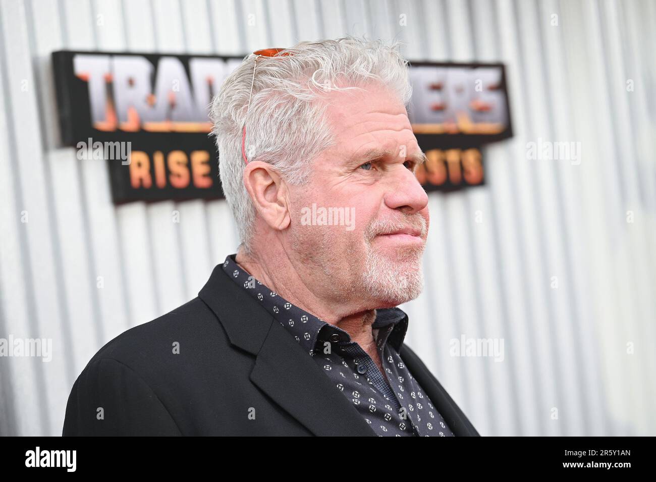 New York, USA. 05th June, 2023. Ron Perlman attends Paramount's ...