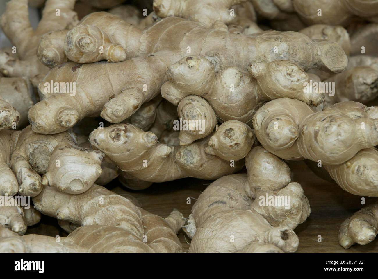 Common ginger root hi-res stock photography and images - Alamy
