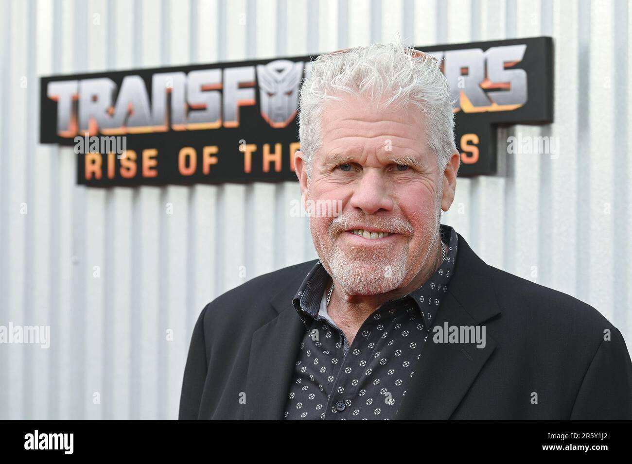 New York, USA. 05th June, 2023. Ron Perlman attends Paramount's ...