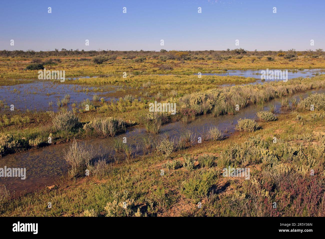 Desert in rainy season, Sturt National Park, Tibooburra, New South ...