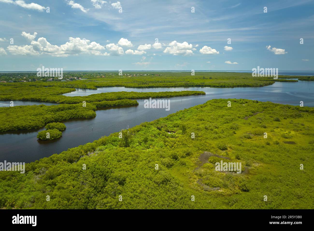View from above of Florida everglades with green vegetation between ...
