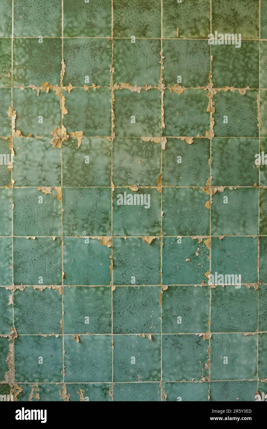 Texture Fly Wallpaper Stock Photo - Alamy