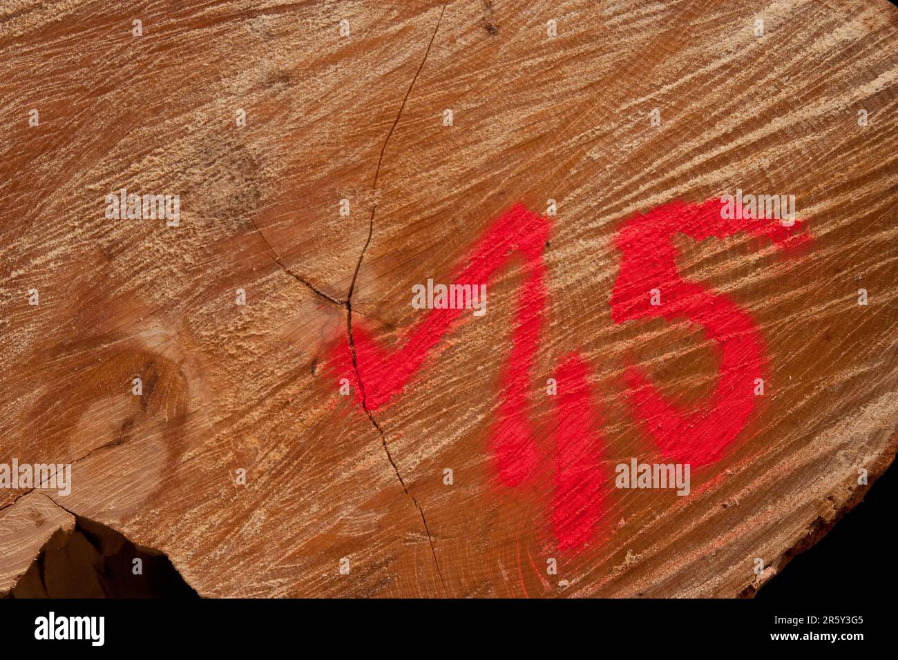 Valuable wood hi-res stock photography and images - Alamy