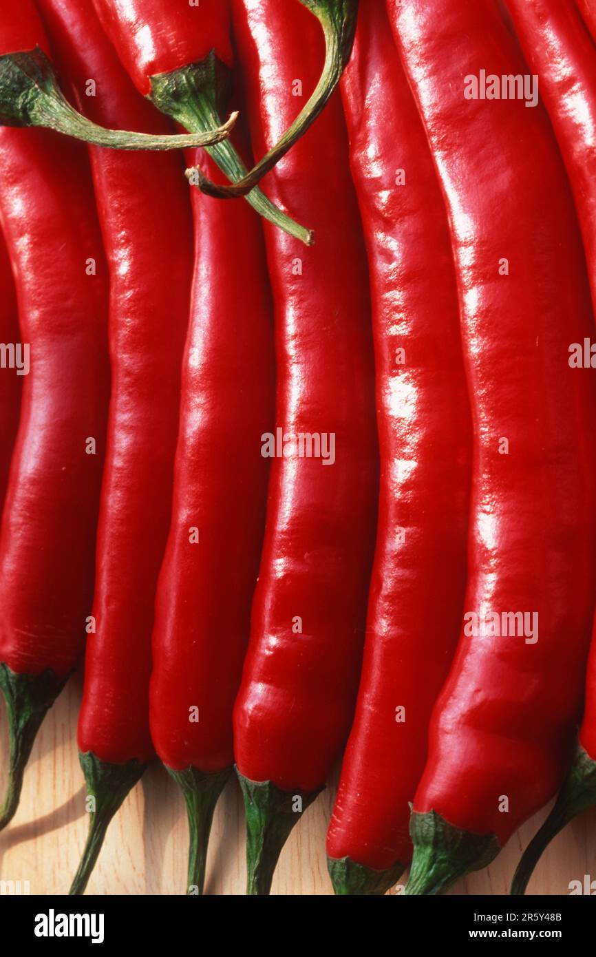Capsicum frutescens plant hi-res stock photography and images - Alamy
