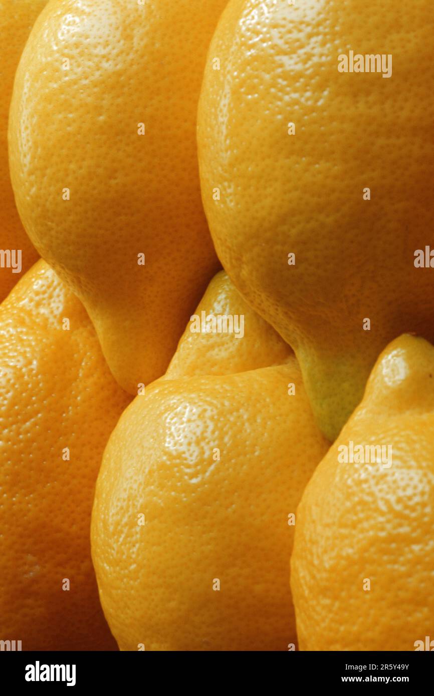 Yellow citrus fruit hi-res stock photography and images - Alamy