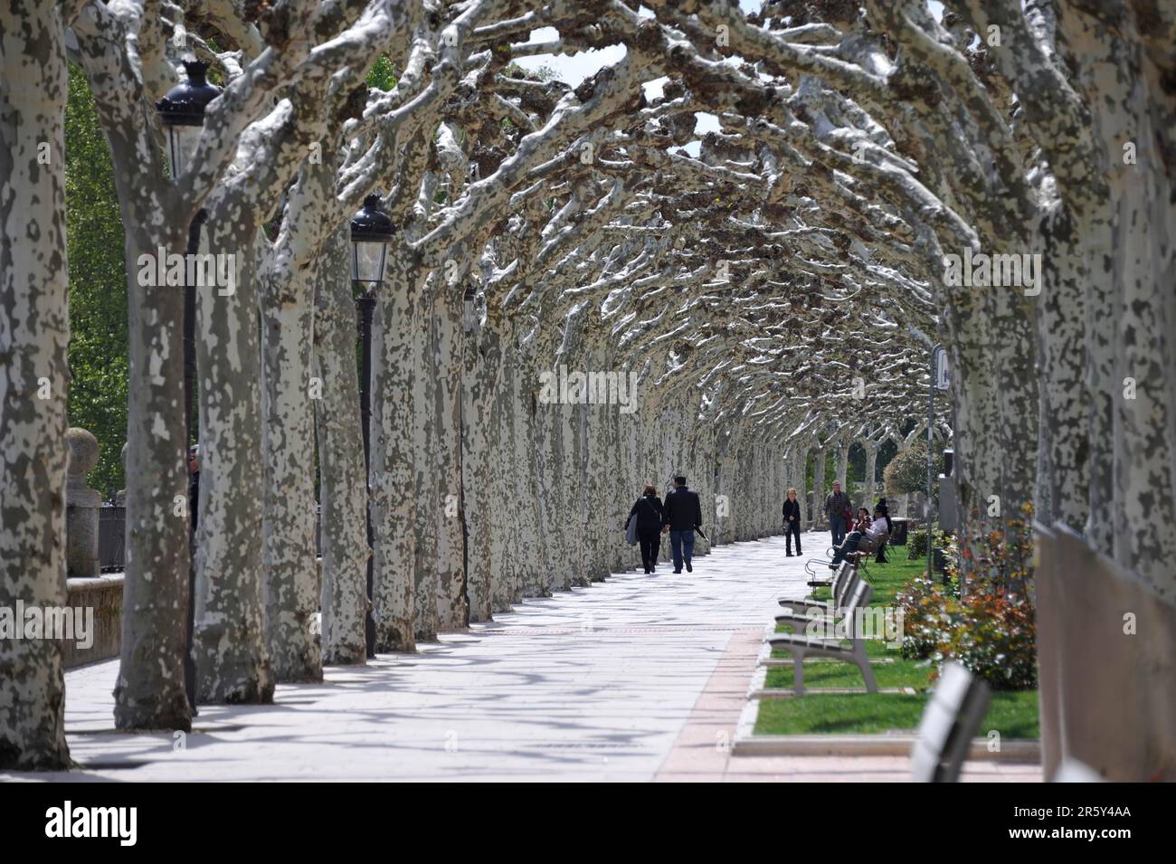 Promenade paseo de la hi-res stock photography and images - Alamy