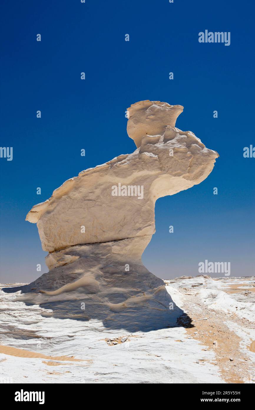 Limestone formations, White Desert, Qasr el-Farafra, Libyan Desert ...