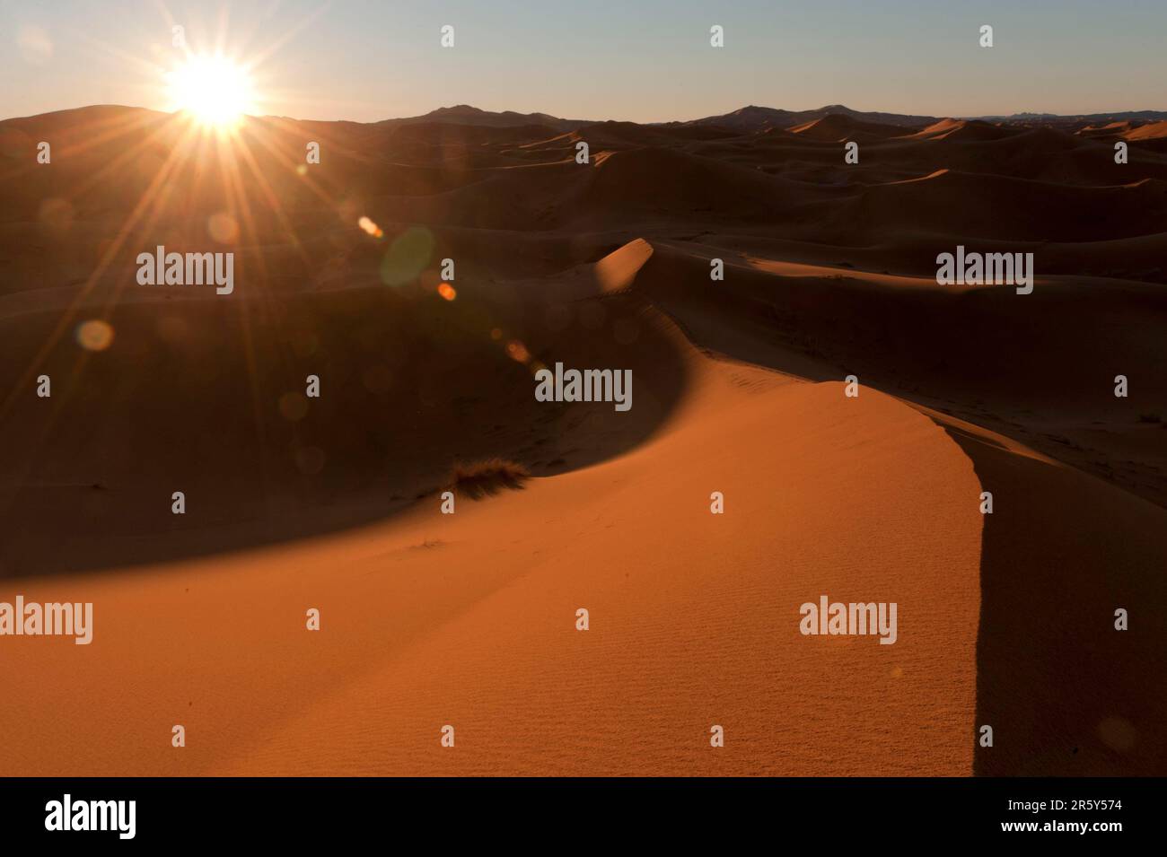 Morocco, Erg Chebbi desert, dunes Stock Photo - Alamy