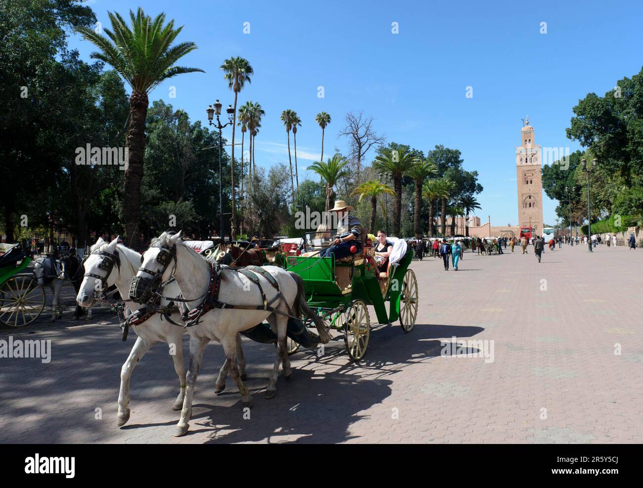 Carriage ride marrakech hi-res stock photography and images - Alamy