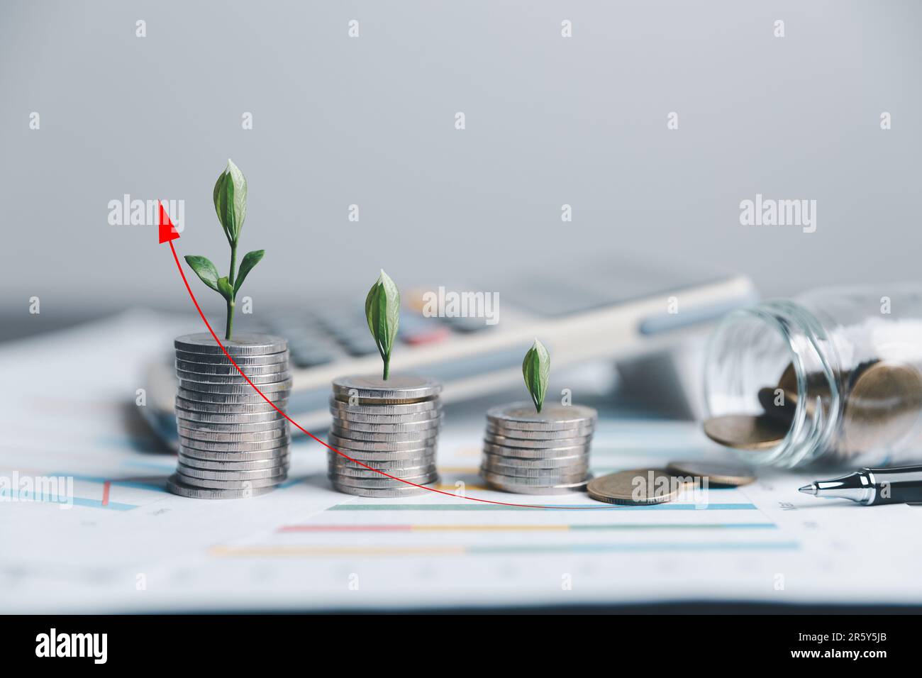 Save money, success goals and investment growth concept. Tree growing ...