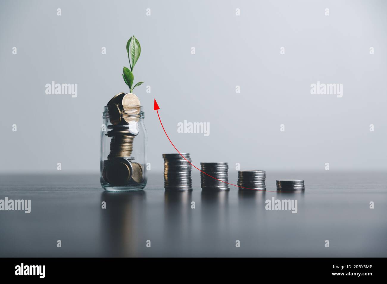Save money, success goals and investment growth concept. Tree growing ...