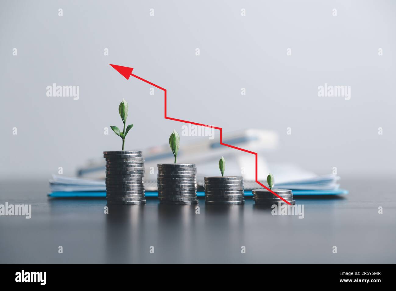 Save money, success goals and investment growth concept. Tree growing ...