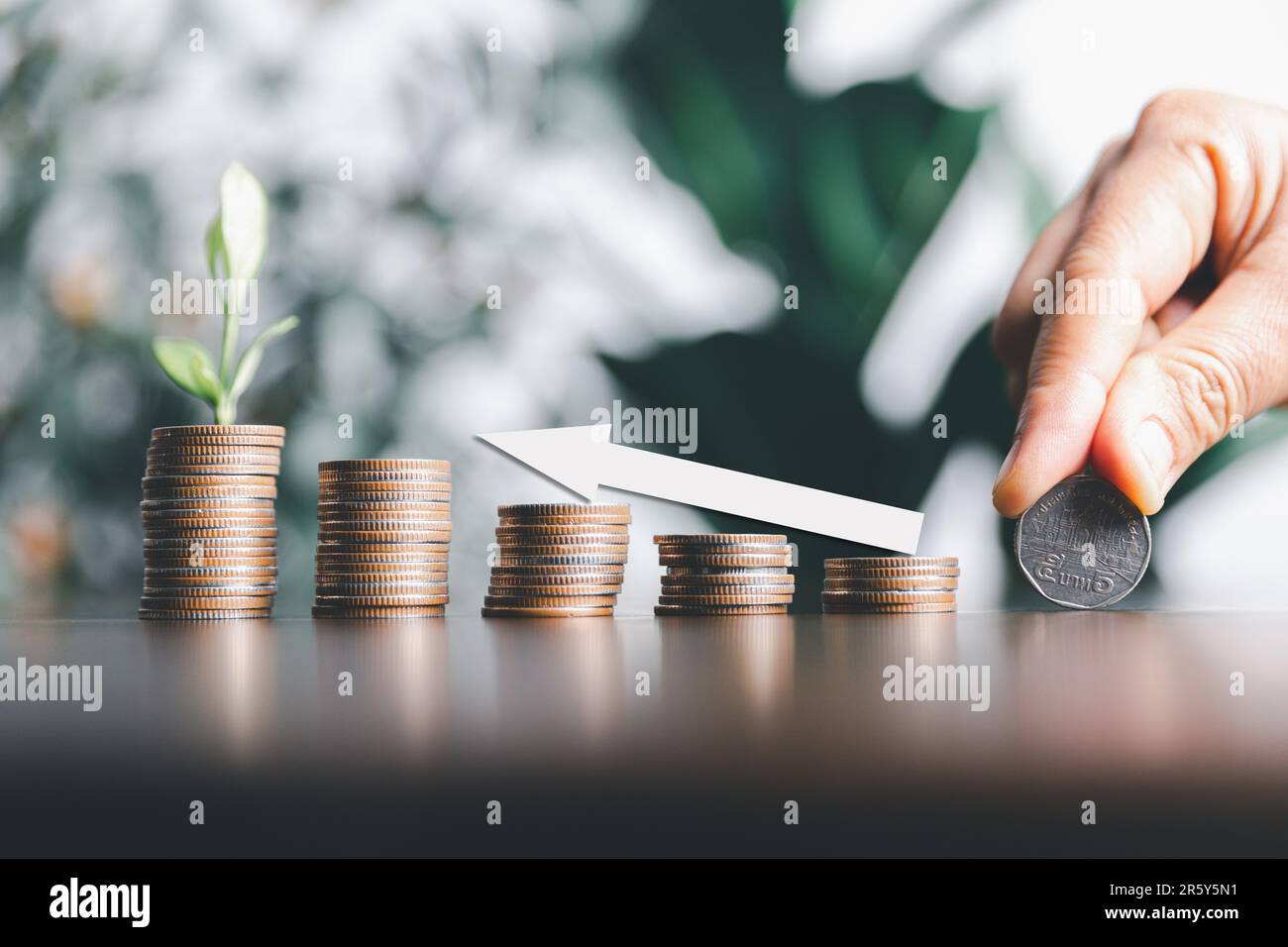 Save money, success goals and investment growth concept. Tree growing ...