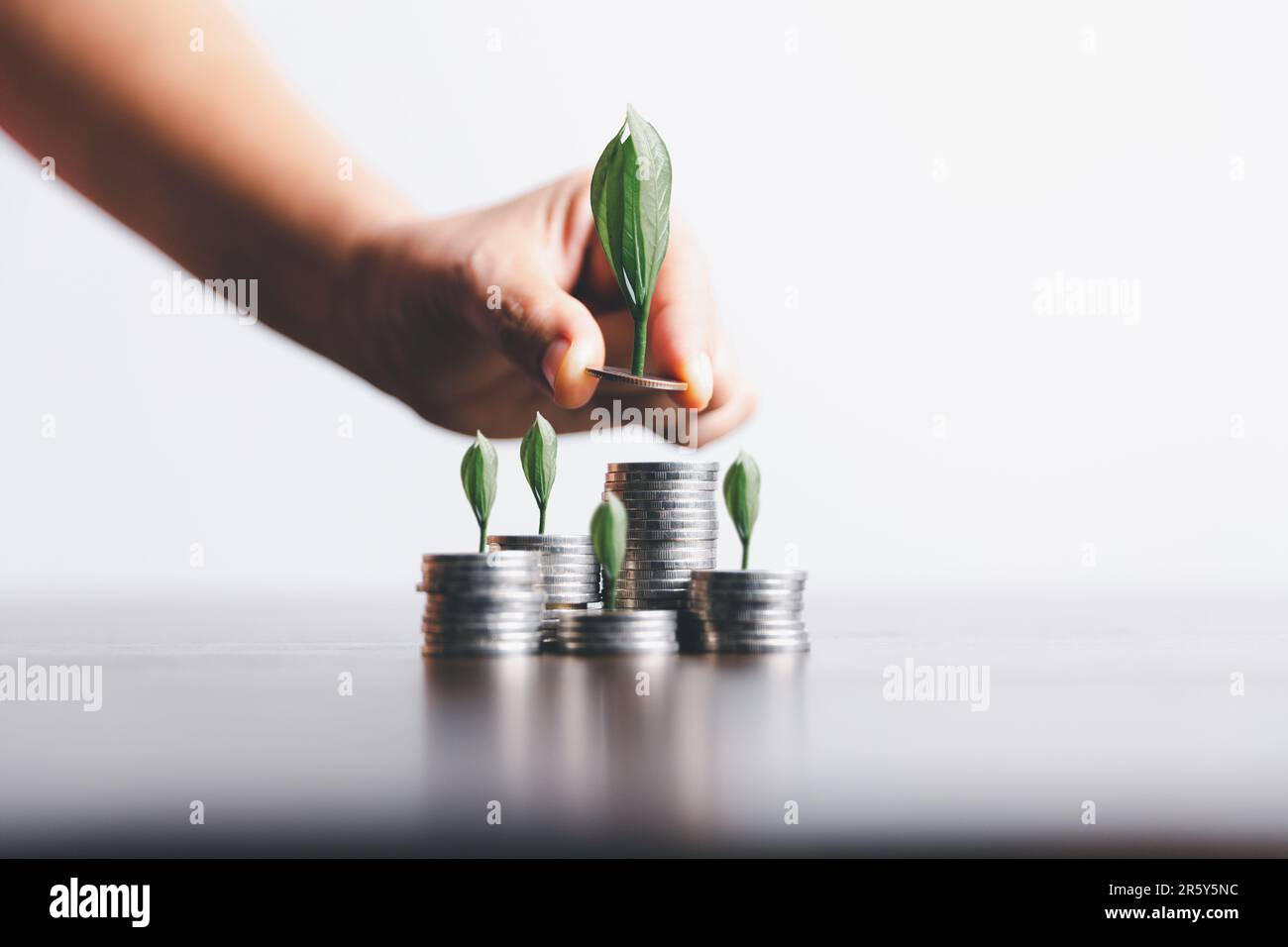 Accounting tree hi-res stock photography and images - Alamy