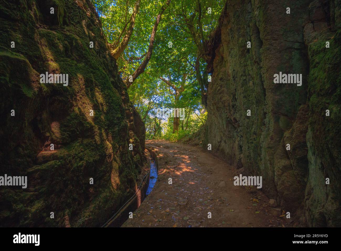 View lush riverside path hi-res stock photography and images - Alamy