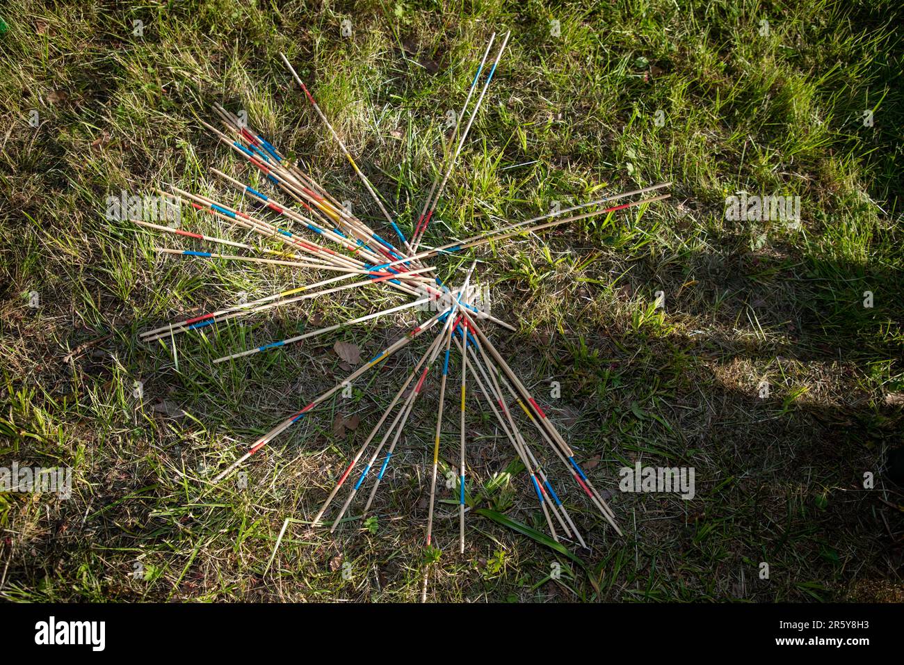 giant mikado game spread out on the green lawn grass toy classic colors ...