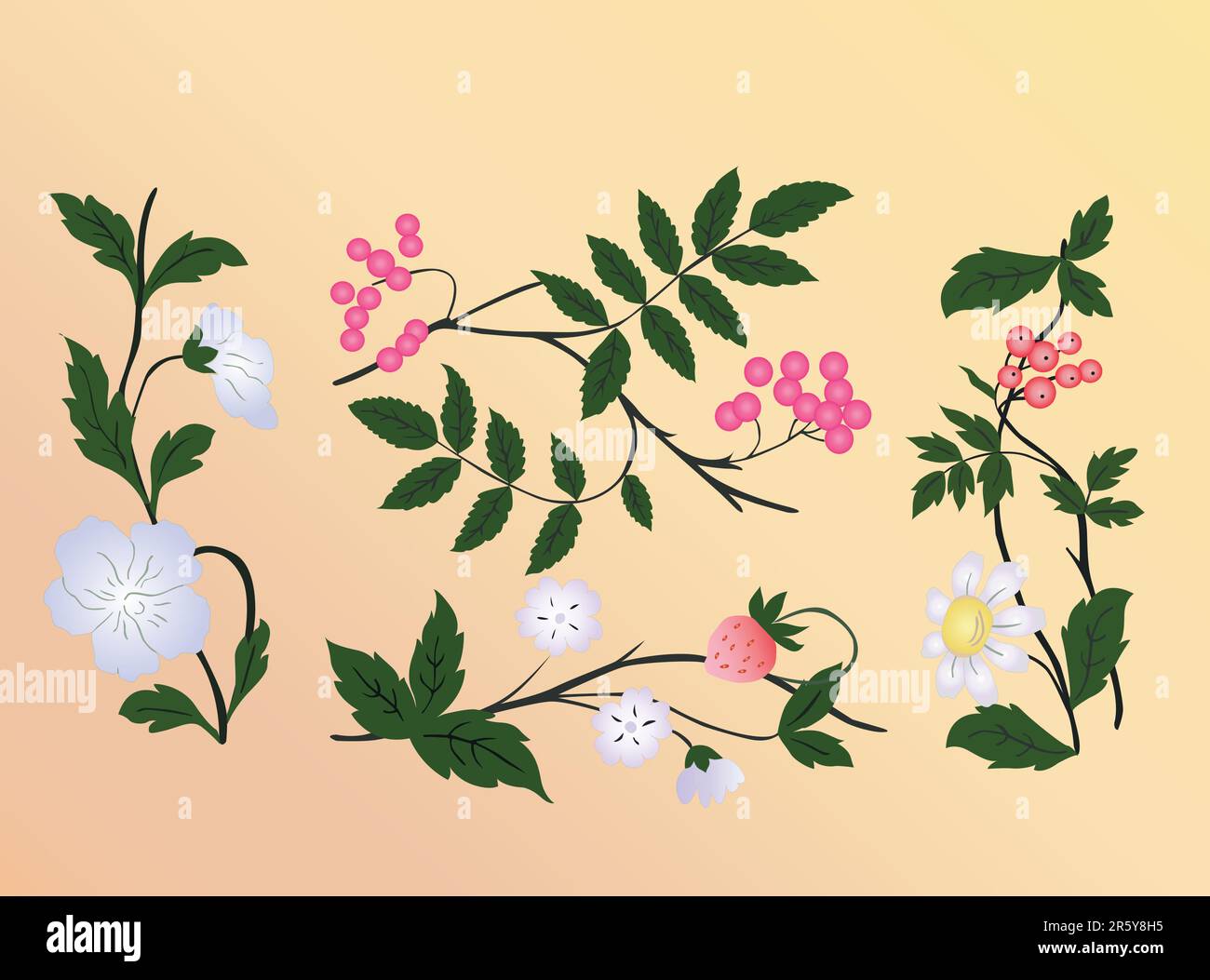 Fine line floral Stock Vector Images - Alamy
