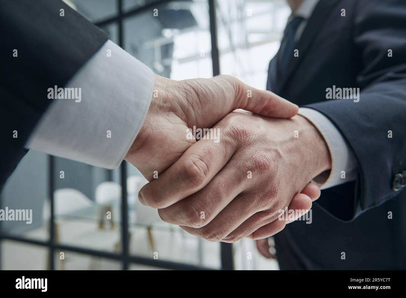 Business partners shaking hands in meeting hall Stock Photo - Alamy