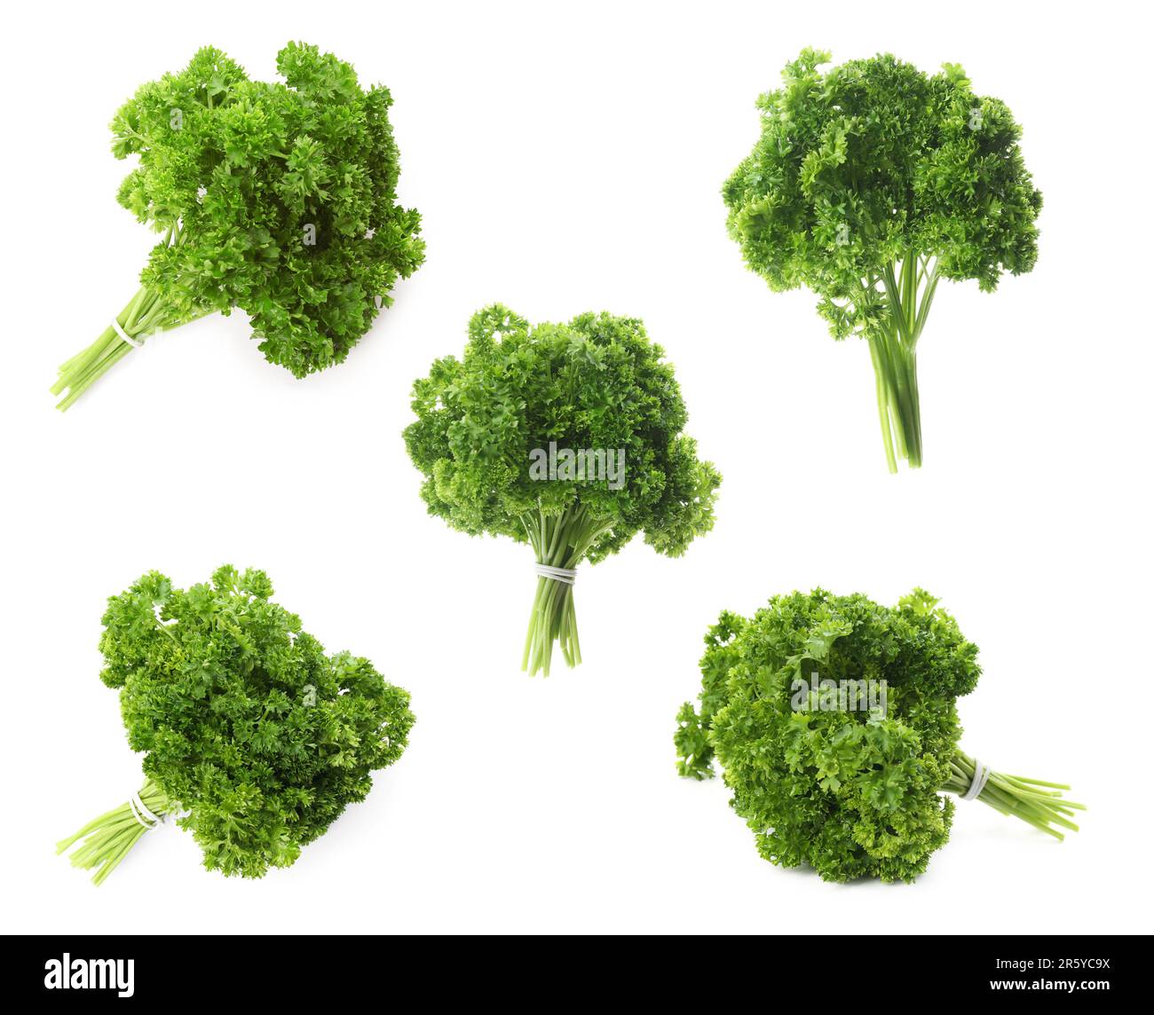 Collage of bunches of fresh green curly parsley on white background ...