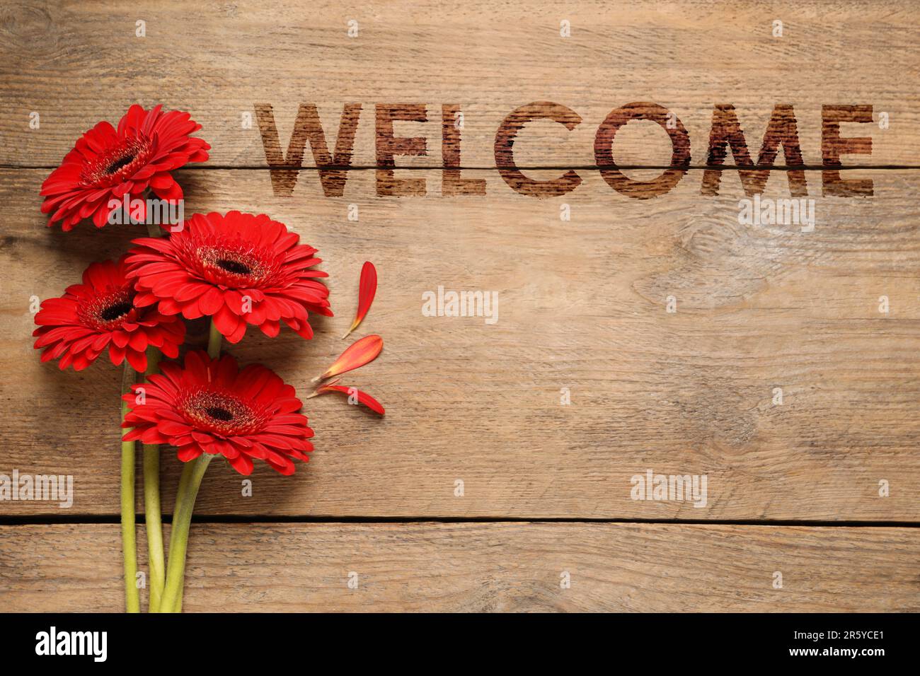 Welcome Images With Flowers Hd