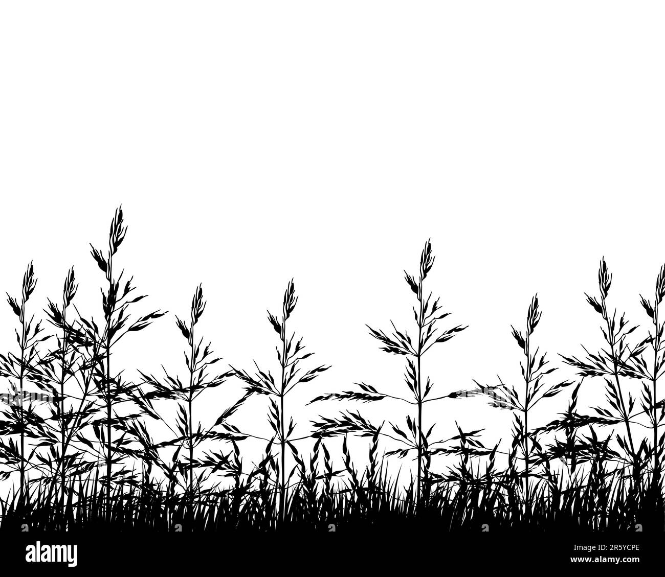 Vector illustration wheat background for design use Stock Vector Image ... Vector illustration wheat background for design use Stock Vector Image ...