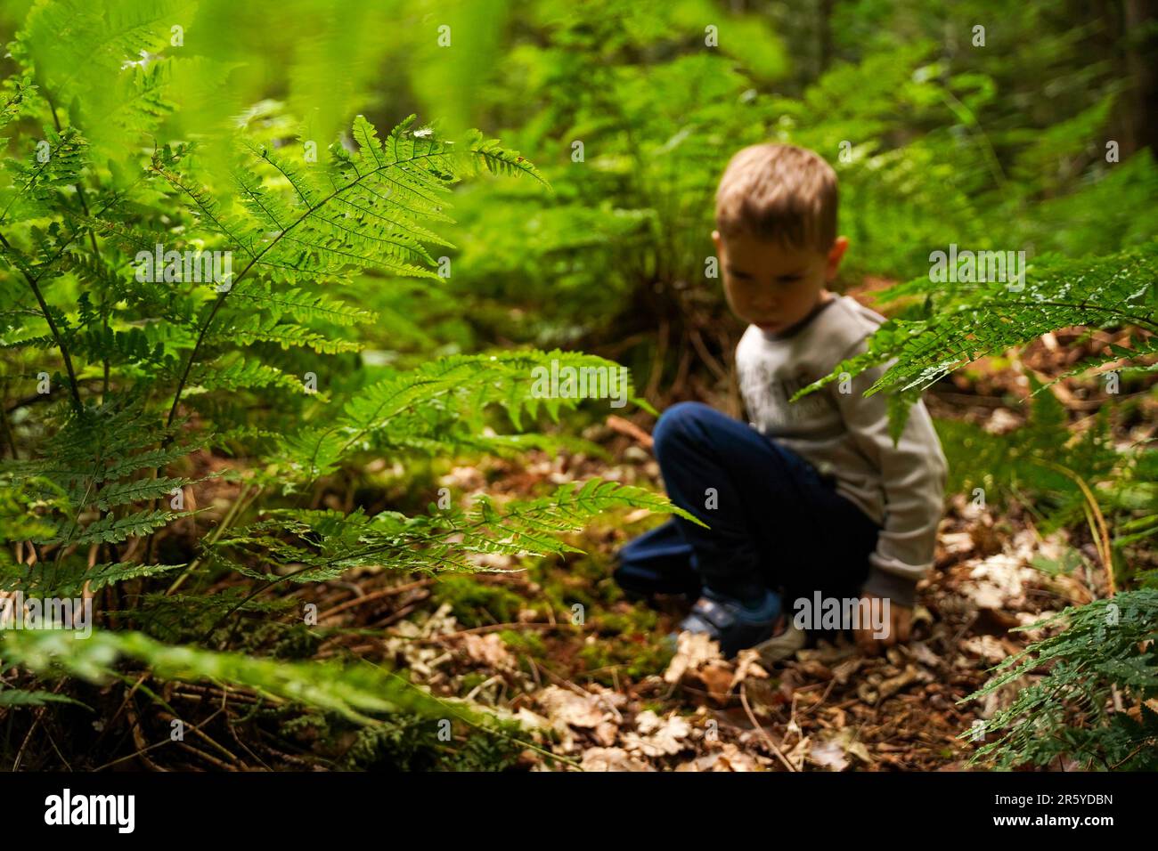 Lonely boy sitting in the woods, lost sad child. Selective focus on ...
