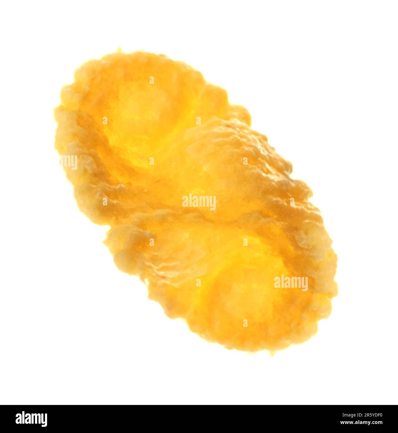 One tasty crispy corn flake isolated on white Stock Photo - Alamy