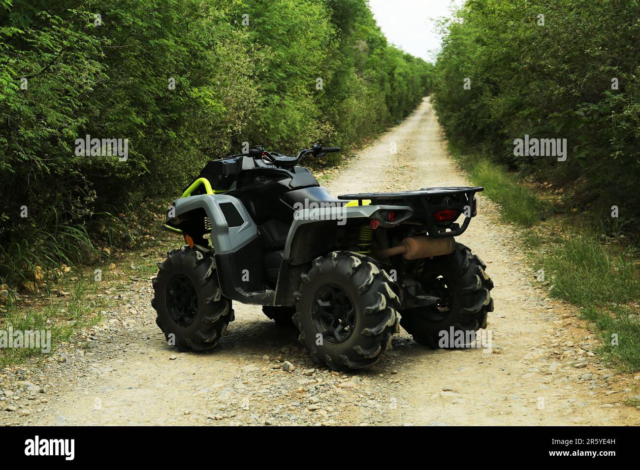 Beautiful quad bike on pathway near trees outdoors Stock Photo - Alamy