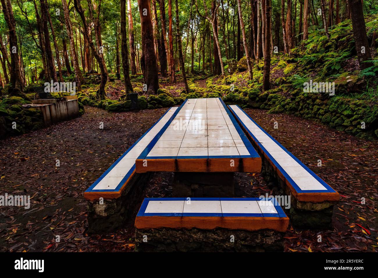 Benches and picnic tables Recreation area in the Mata da Serreta Forest ...