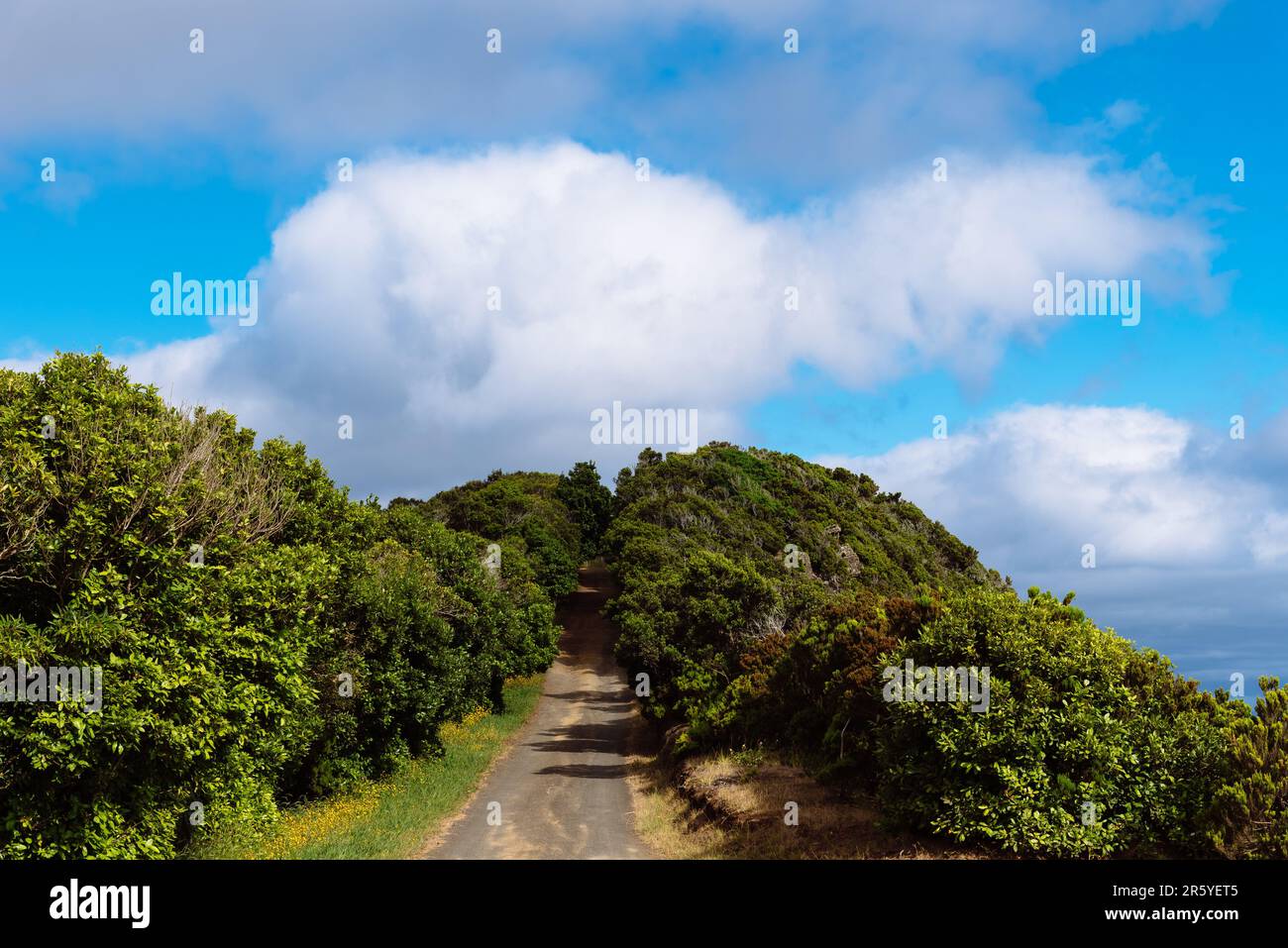 Monte Brasil trail path in Angra do Heroismo, Terceira Island, Azores ...