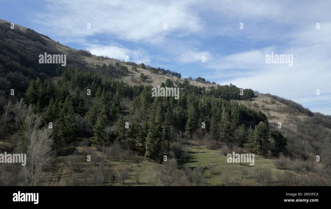 Slope Mountains Trees Greens