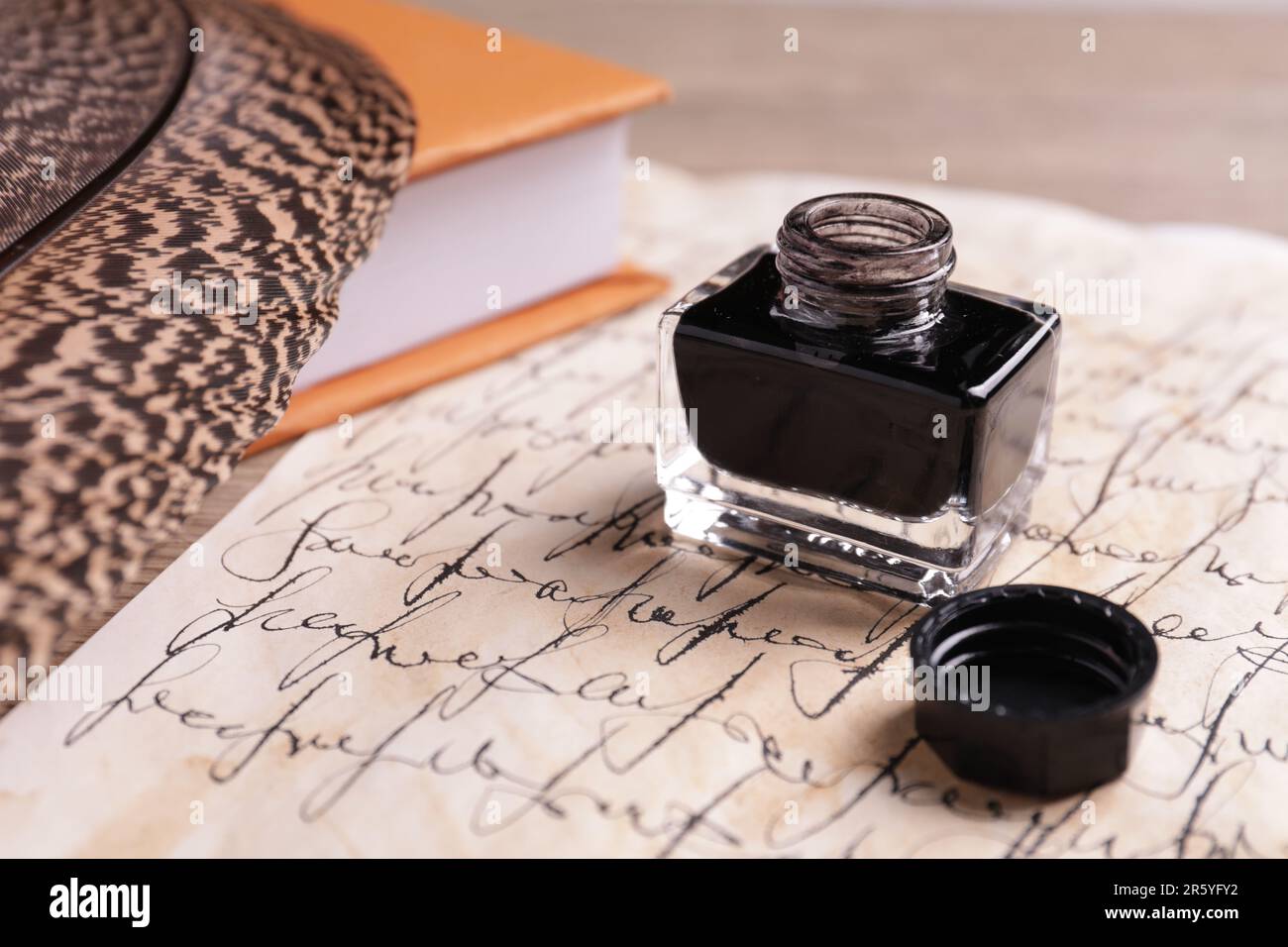 Inkwell feather hi-res stock photography and images - Alamy