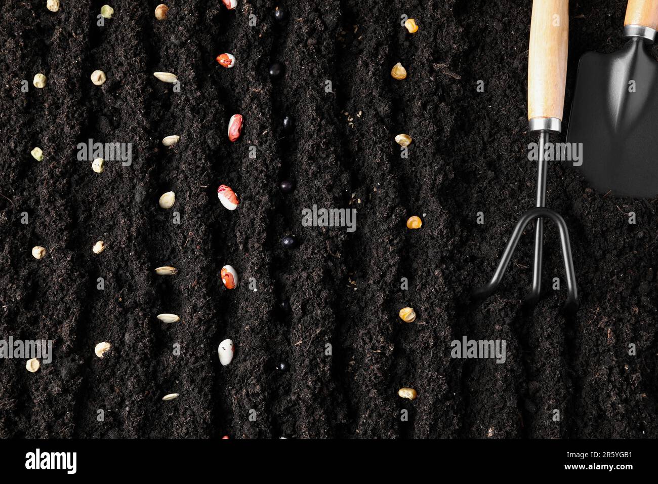 Vegetables seeds gardening tools hi-res stock photography and images ...